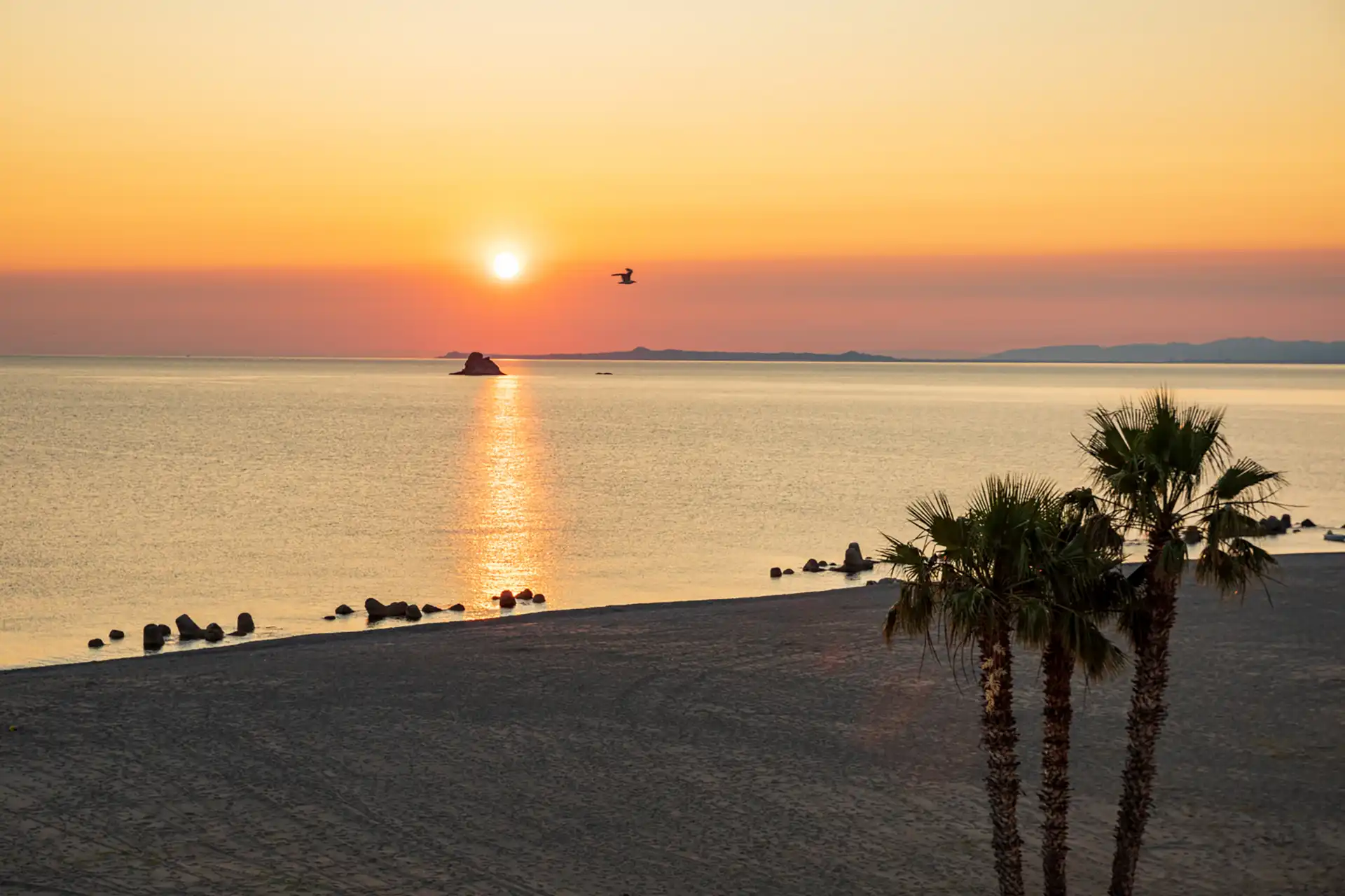Offerte Settembre 2025 | Club Park Philip Hotel